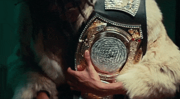 Royal Rumble GIFs on GIPHY - Be Animated