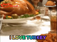 Turkey Meme GIFs - Find & Share on GIPHY