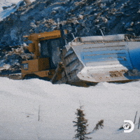 Go-gold GIFs - Get the best GIF on GIPHY