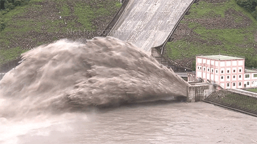 Hot Dam GIF by Digg - Find & Share on GIPHY
