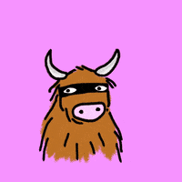 How Now Brown Cow Gif