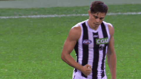 Football Sport GIF by CollingwoodFC - Find & Share on GIPHY