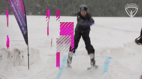 Winter Sports Falling GIF by All-Round Champion - Find & Share on GIPHY