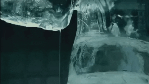 Cold Shoulder GIF by Adele - Find & Share on GIPHY