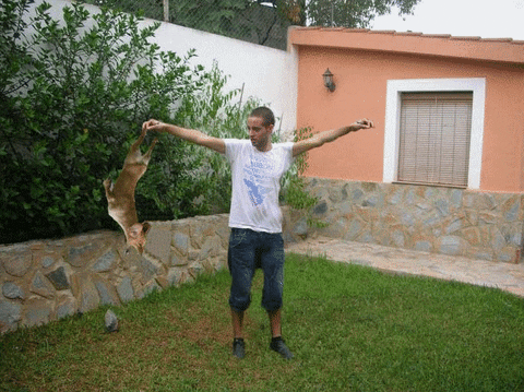 Jumping Man GIFs - Get the best GIF on GIPHY