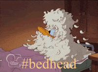 Messy Hair GIFs - Find & Share on GIPHY