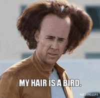 Messy Hair GIFs - Find & Share on GIPHY
