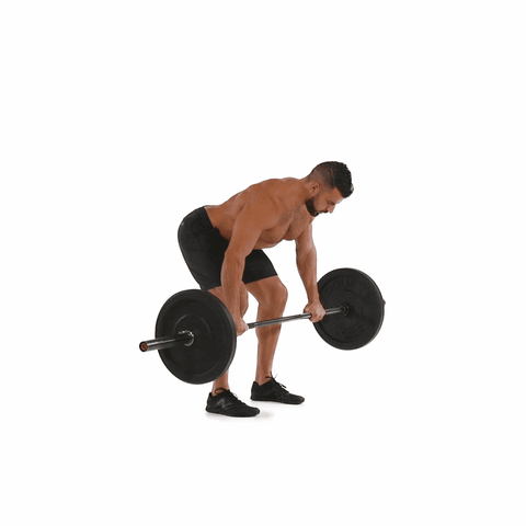 barbell row GIF - Find & Share on GIPHY