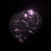 Machine Learning GIFs - Find & Share on GIPHY