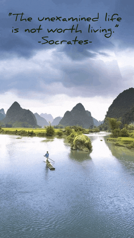 Quote GIF by Positive Programming - Find & Share on GIPHY