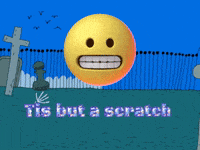 Tis But A Scratch GIFs - Find & Share on GIPHY
