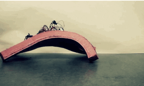robot robotics GIF by Harvard University - Find & Share on GIPHY