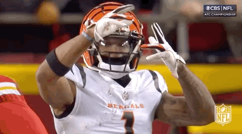 Cincinnati Bengals Football GIF by NFL - Find & Share on GIPHY