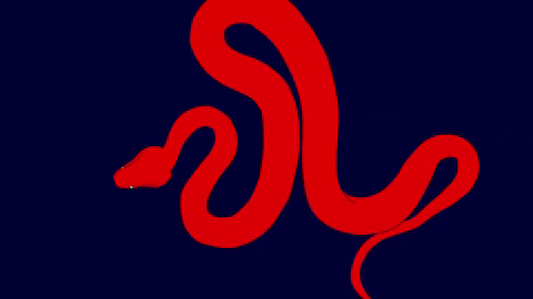 Snake Animation GIFs - Find & Share on GIPHY
