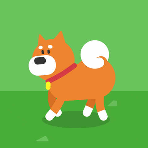 Dog Running GIF by Where to go in Japan? - Find & Share on GIPHY