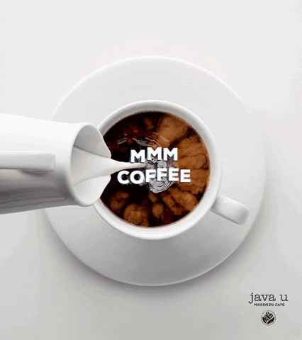 Coffee Java GIFs - Find & Share on GIPHY
