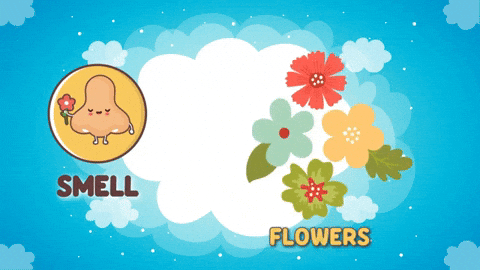Flowers Smell GIF - Find & Share on GIPHY