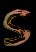 animation dissolve GIF by Ori Toor