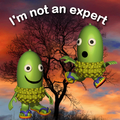 I Have No Knowledge GIFs - Find & Share on GIPHY