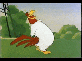 Foghorn Leghorn GIFs - Find & Share on GIPHY
