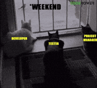 Developer Meme GIFs - Find & Share on GIPHY