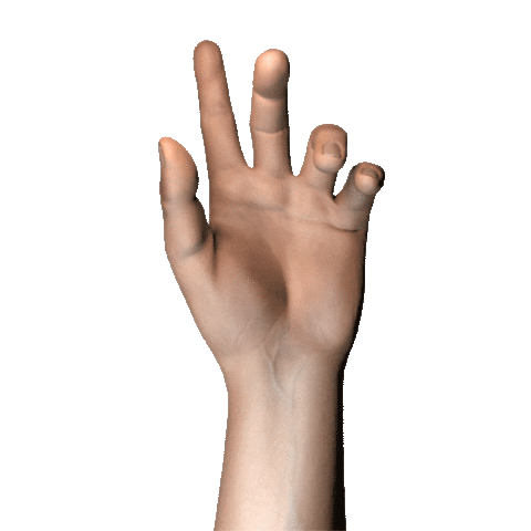 Pointing To Arm Stickers - Find & Share on GIPHY