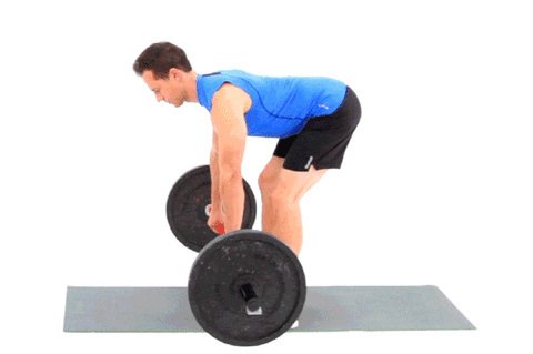 Bent-over-row-barbell GIFs - Get the best GIF on GIPHY