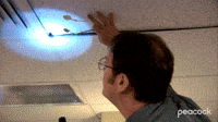 Dwight Captures the Bat - GIPHY Clips