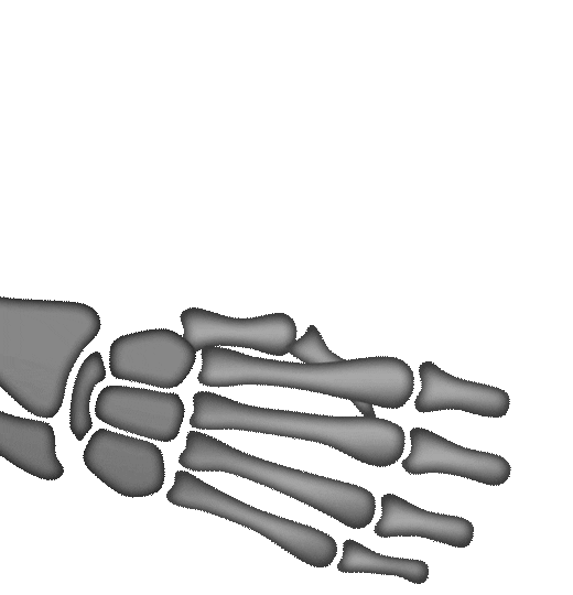 Bones Up Stickers - Find & Share on GIPHY