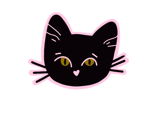 Cat New Post Sticker for iOS & Android | GIPHY