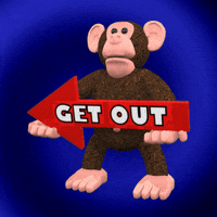 Lightbulb Going Off GIFs - Find & Share on GIPHY