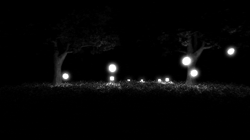 Infinite Loop Looping GIF by CmdrKitten - Find & Share on GIPHY