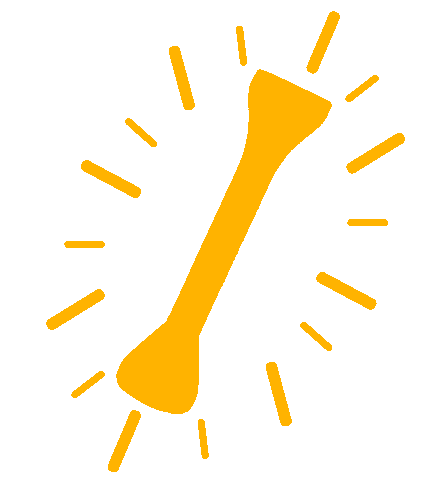 Sun Mexico Sticker by El Squid Roe - Find & Share on GIPHY