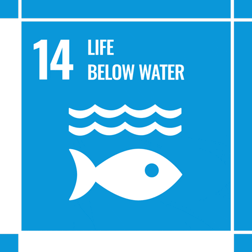 Act4Sdgs GIF by MY World Mexico - Find & Share on GIPHY