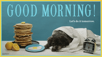 Good Morning Smile GIF by Holler Studios