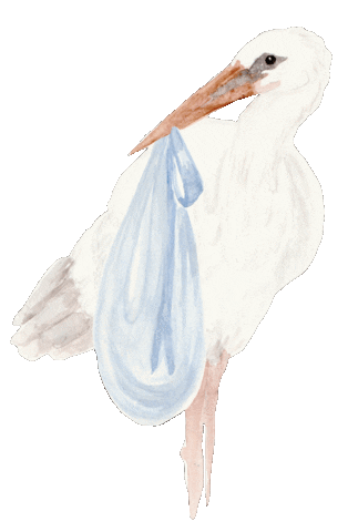 Stork Expecting Sticker - Find & Share on GIPHY