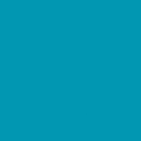 Knowledge Is Key GIFs - Find & Share on GIPHY