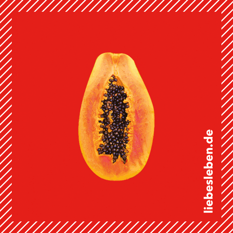 Fig Friday GIFs - Find & Share on GIPHY