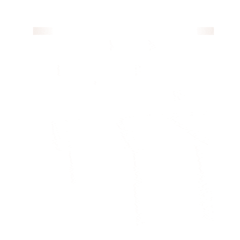 ישראל Sticker by Zman Amiti - Find & Share on GIPHY