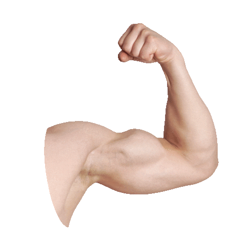 Muscles Flexing Sticker by Bombshell Productions for iOS & Android | GIPHY