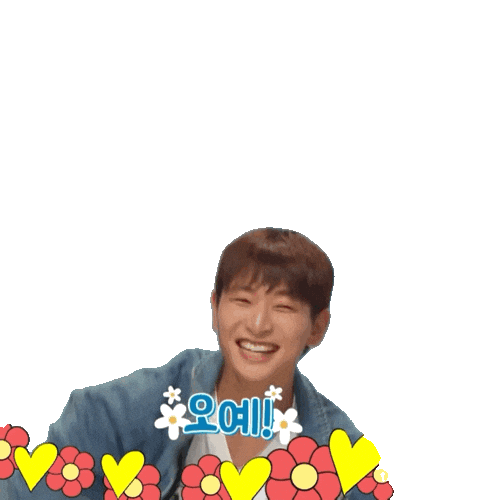 2am진운 Stickers - Find & Share on GIPHY