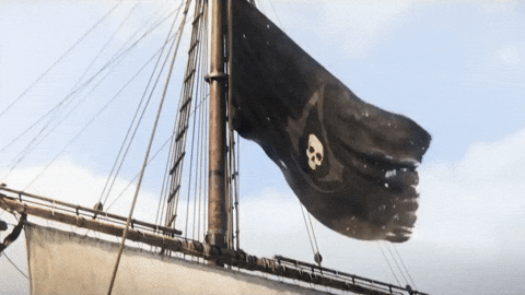 Black Flag GIF by Assassin's Creed - Find & Share on GIPHY