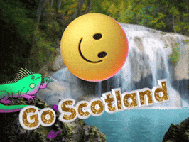 Scotland Roadtrip GIF by Alba Campers