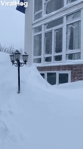 Man Leaps Into Giant Snow Pile GIFs - Find & Share on GIPHY
