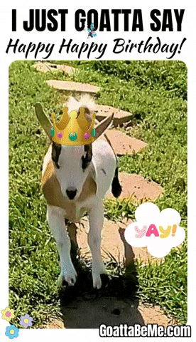Birthday Goat GIFs - Find & Share on GIPHY
