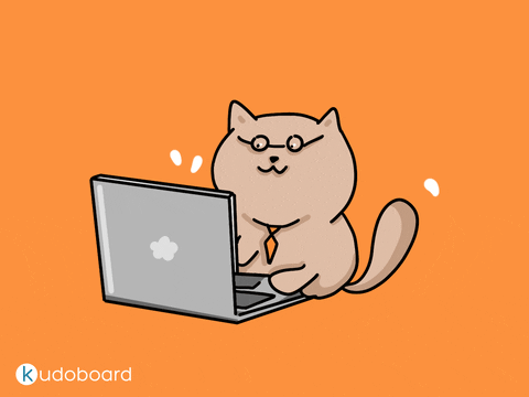 Cat On Laptop GIFs - Find & Share on GIPHY