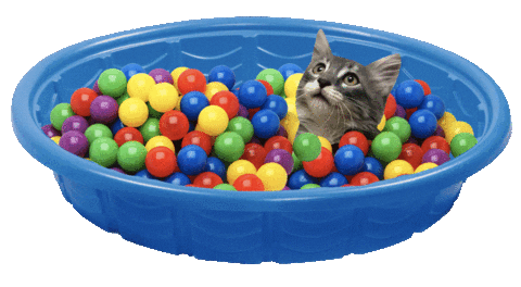 Ball Pit Stickers - Find & Share on GIPHY