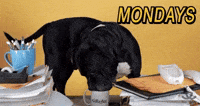 Monday Coffee GIFs - Find & Share on GIPHY