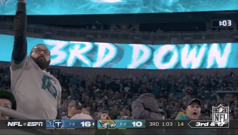 Jacksonville Jaguars Football GIF by NFL