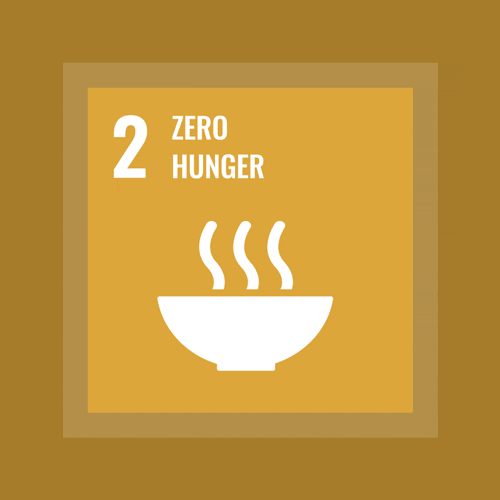 Act4Sdgs GIF by MY World Mexico - Find & Share on GIPHY